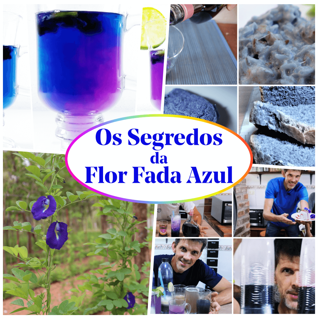 Flor Fada Azul Oficial | Inscrição Webinário 1006: Os Segredos da Flor ...