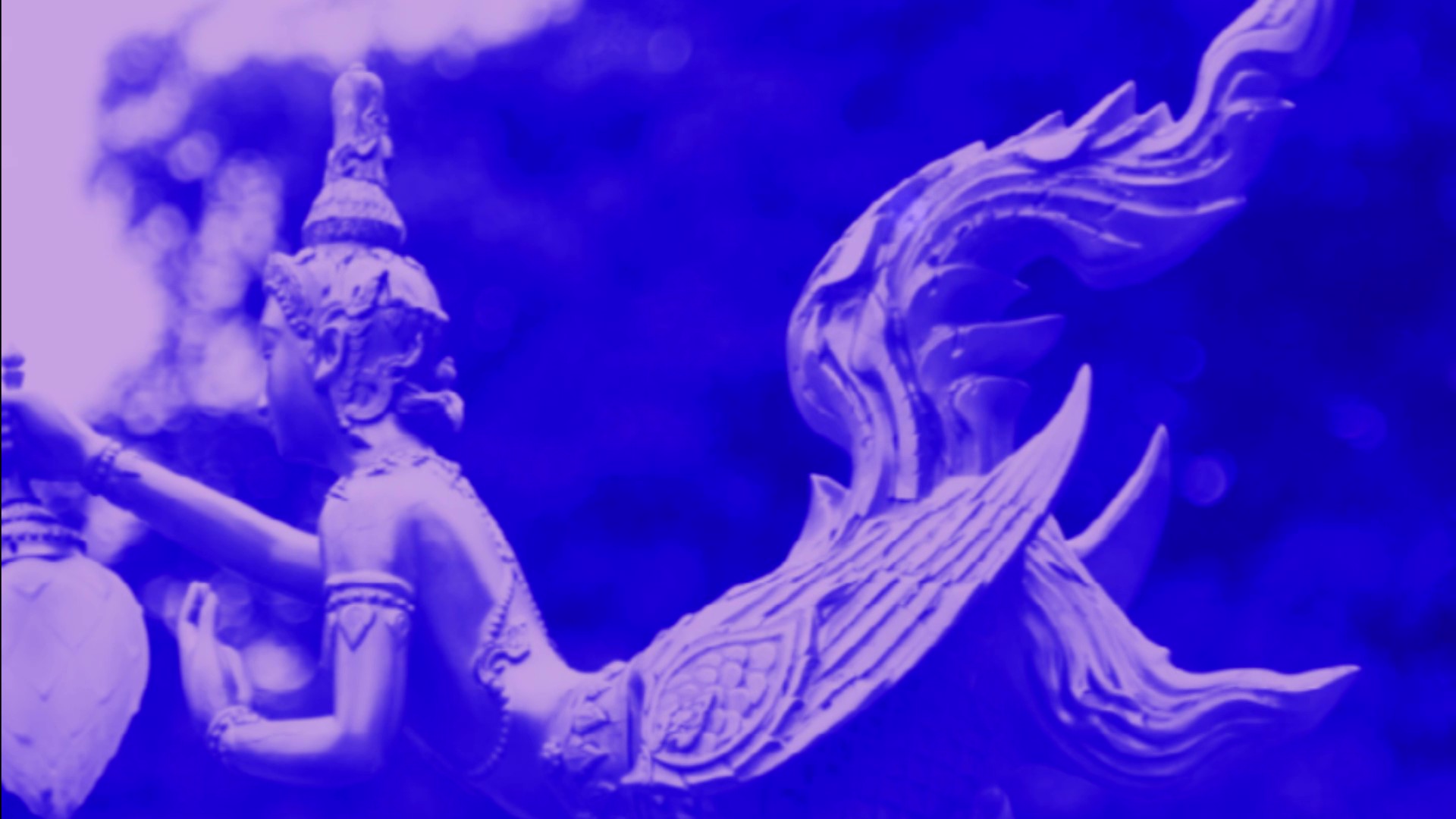 Flor Fada Azul Oficial | A Lenda da Flor Fada Azul